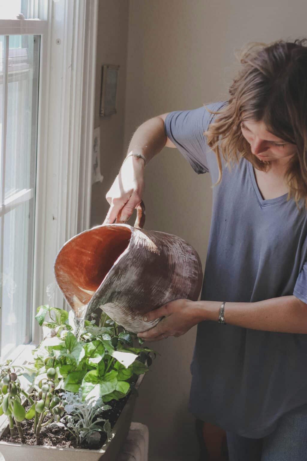 Can You Water Plants With Soft Water